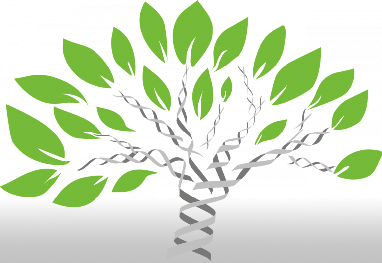 Canadian DNA Services - DNA Paternity Testing - $195.00