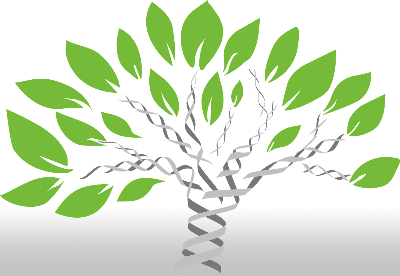 Ancestry Testing - Canadian DNA Services